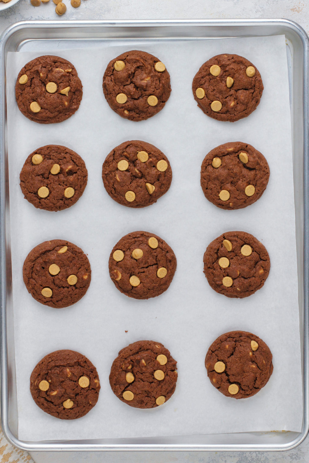 Chocolate Peanut Butter Cookies | My Baking Addiction
