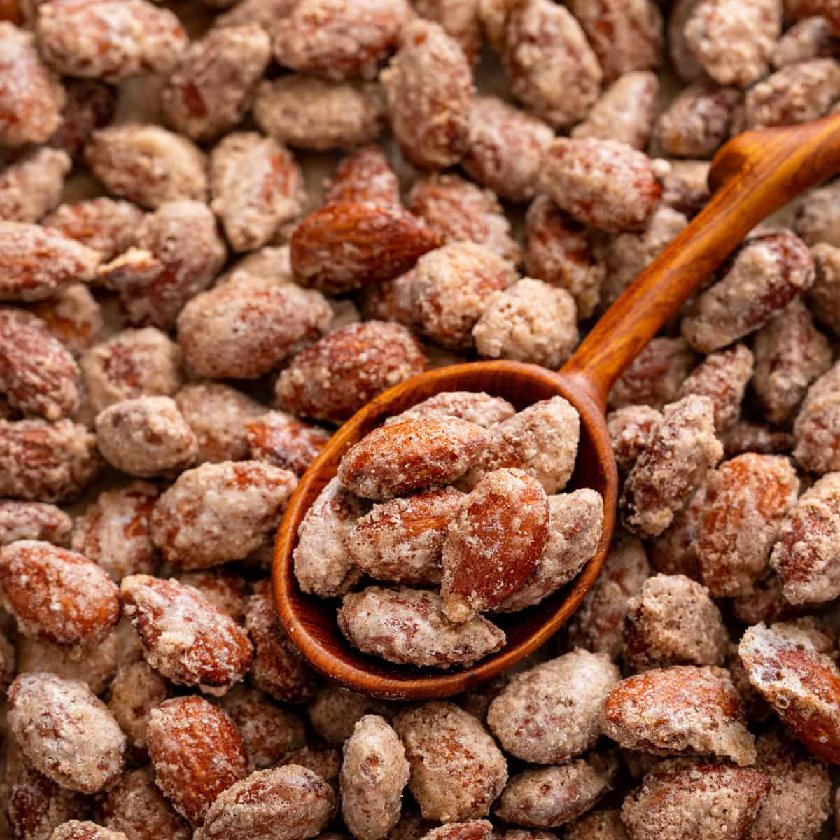 Appetizers Archives - My Baking Addiction