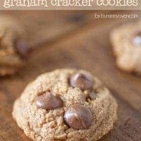 Chocolate Chip Graham Cracker Cookies | My Baking Addiction