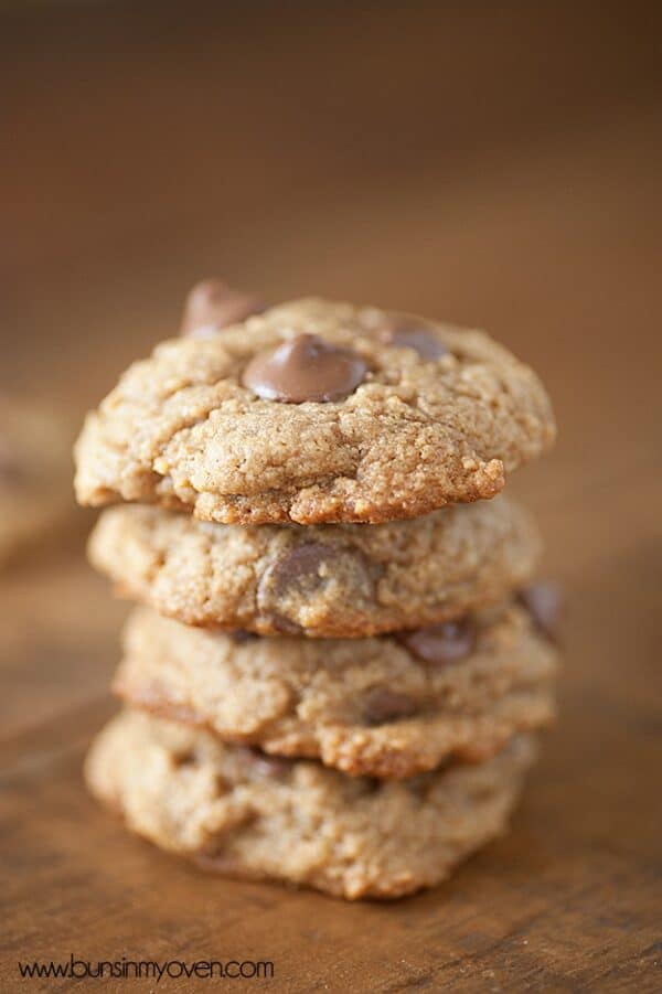 Chocolate Chip Graham Cracker Cookies | My Baking Addiction