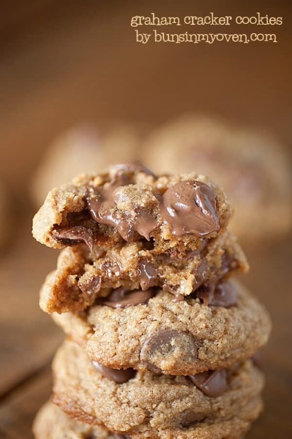 Chocolate Chip Graham Cracker Cookies | My Baking Addiction