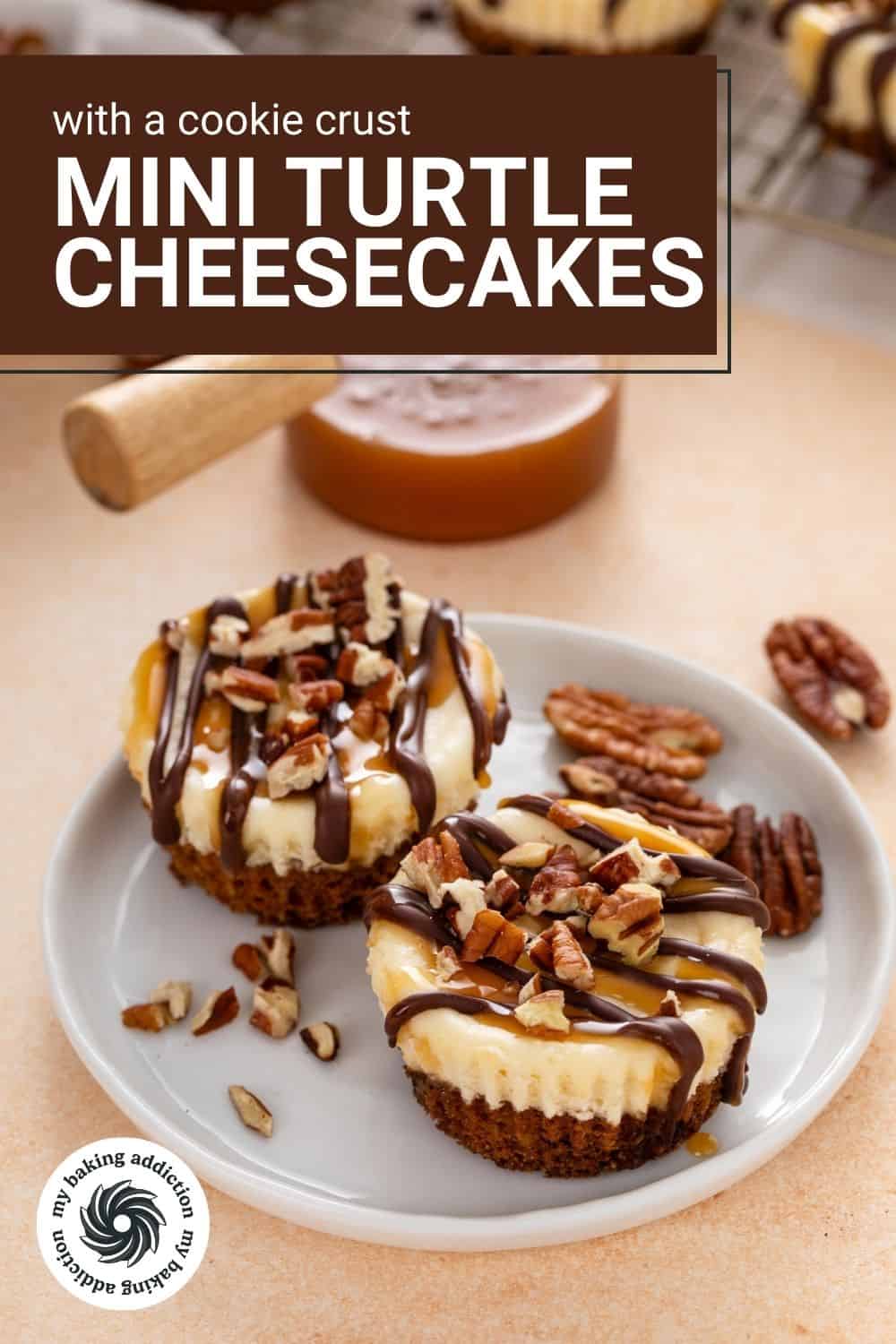 Mini Turtle Cheesecakes - My Baking Addiction
