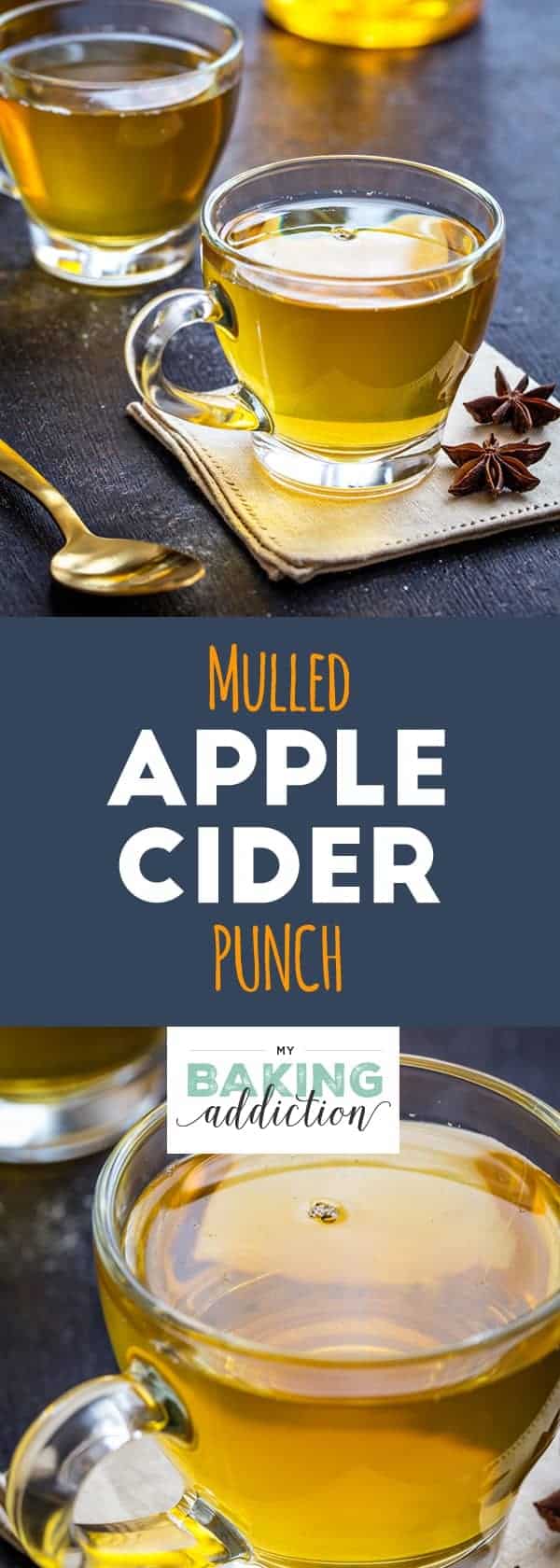 Mulled Apple Cider Punch