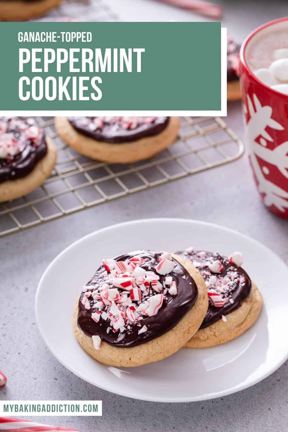 Peppermint Cookies - My Baking Addiction - MasterOfCooking