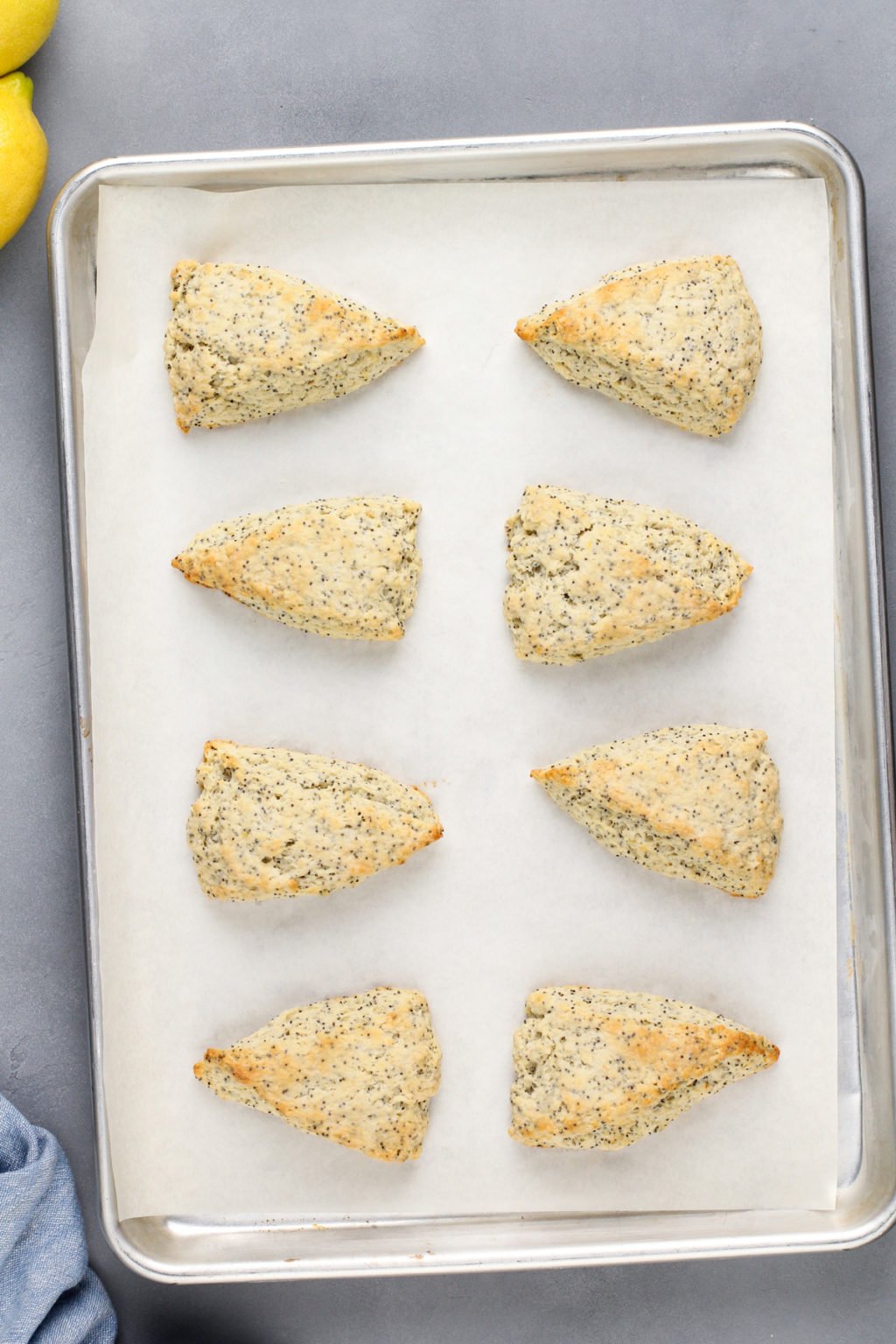 Lemon Poppy Seed Scones - My Baking Addiction