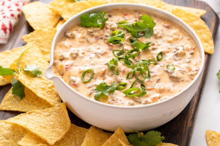 Easy Rotel Dip - My Baking Addiction
