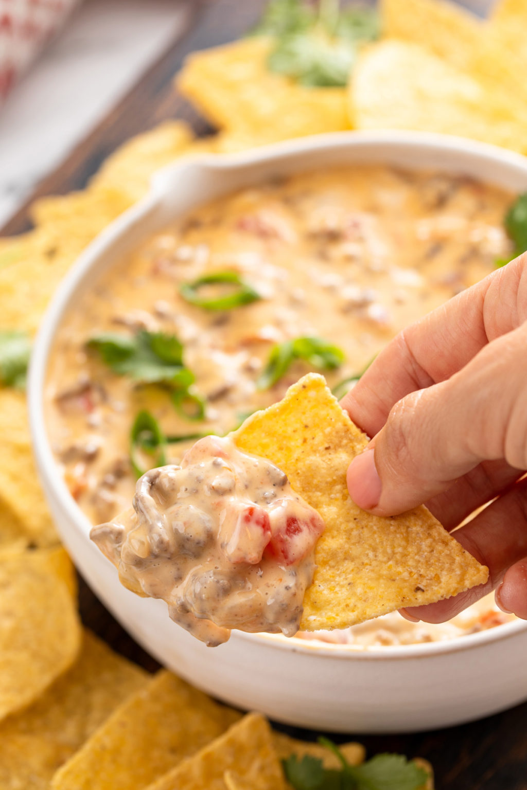 Easy Rotel Dip - My Baking Addiction