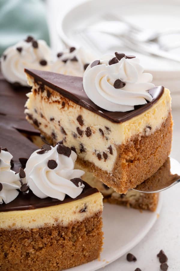 Chocolate Chip Cheesecake - My Baking Addiction