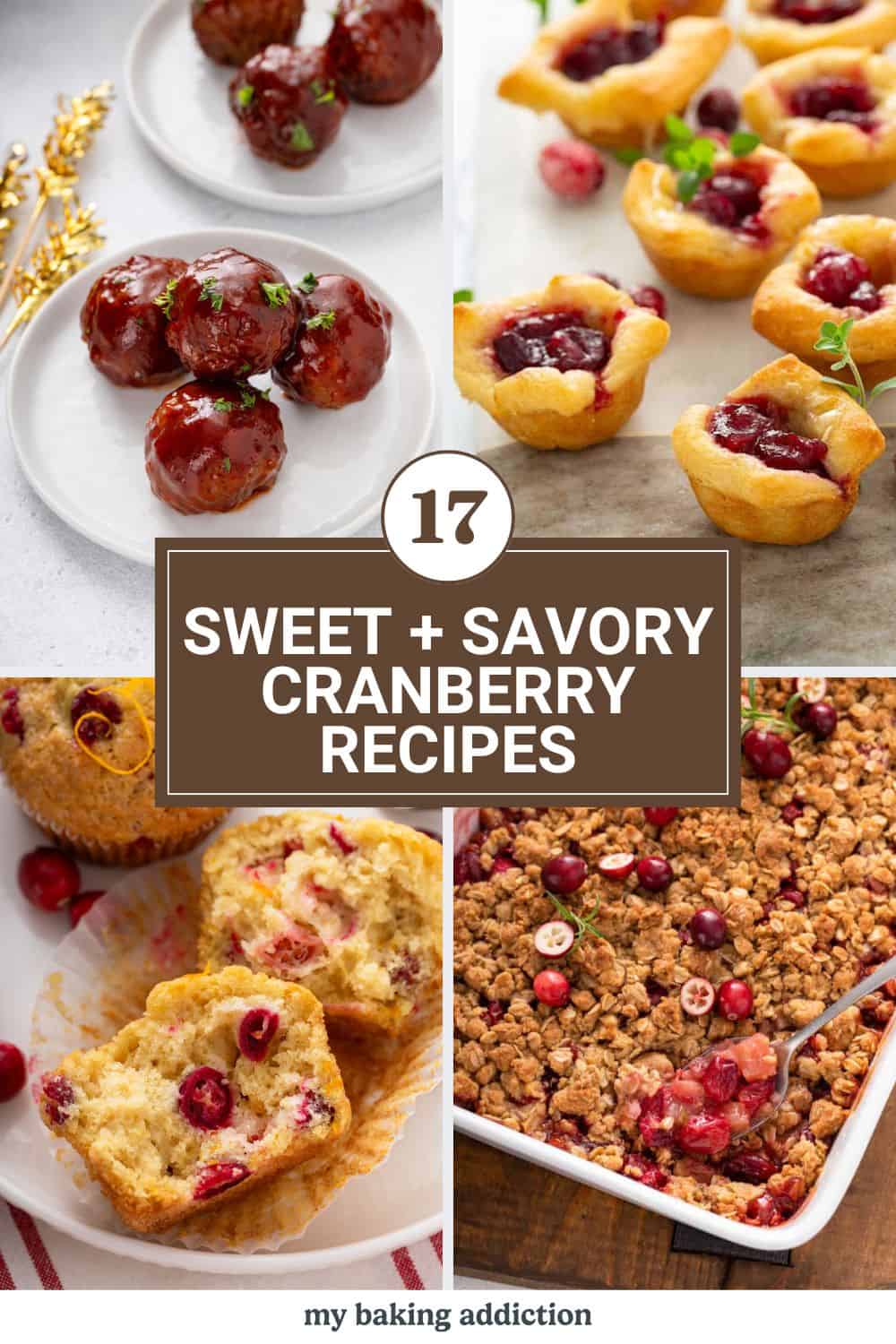 17 Delicious Cranberry Recipes (Sweet + Savory!) - My Baking Addiction